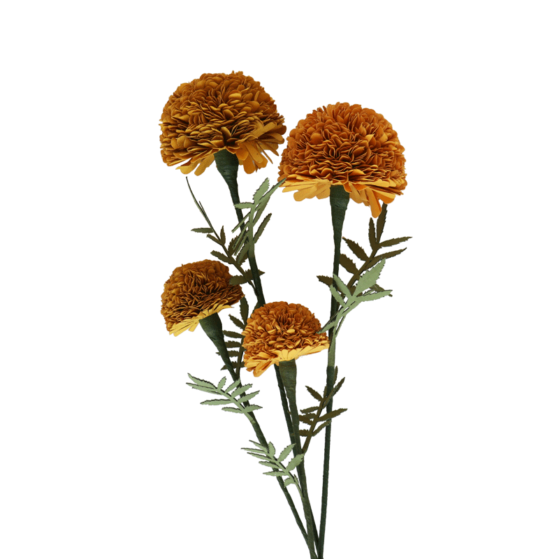 MARIGOLD FLOWER MARIGOLD FLOWER